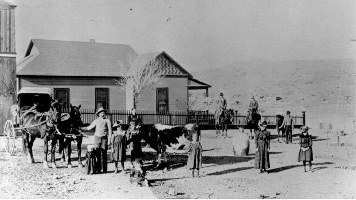 Cattle Ranching 1800s