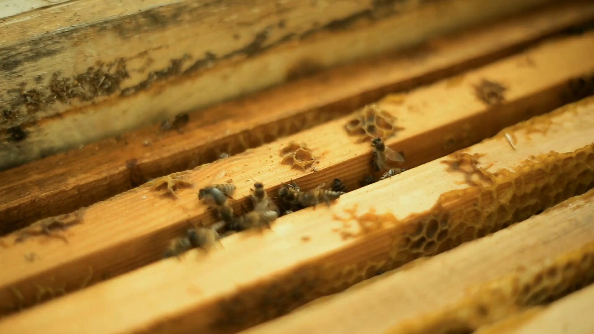 Home - CKP Insurance